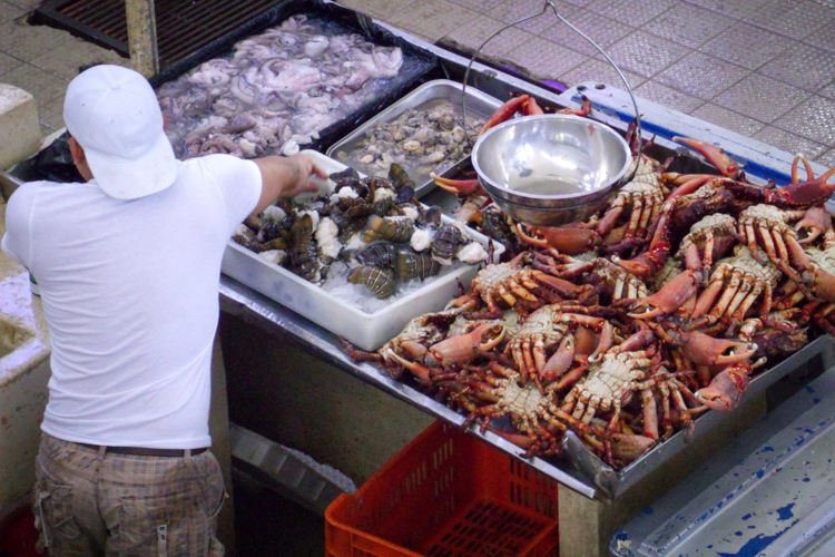 Comidas Típicas da Região Sul: As 20 Melhores