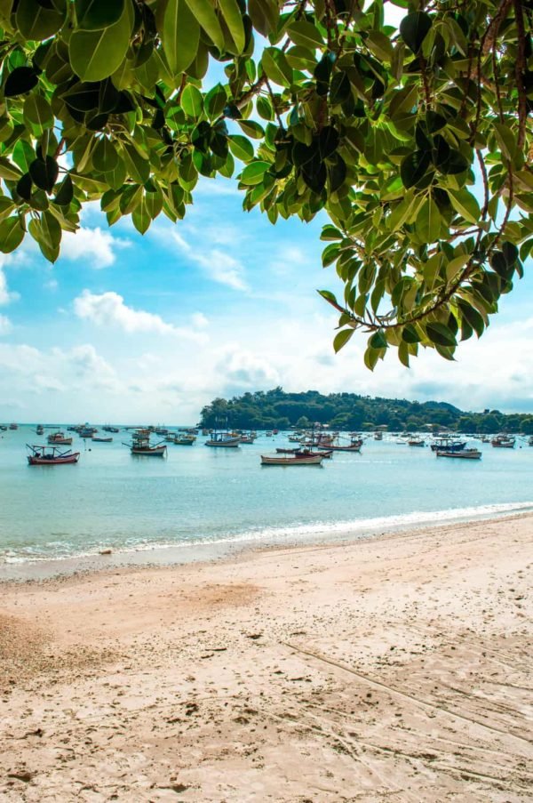 Praia de Piçarras - Conheça Esse Lindo Balneário em SC
