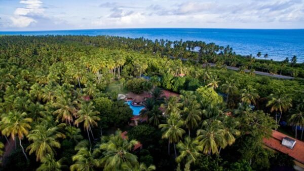 O Que Fazer em Japaratinga: Praia, Piscinas Naturais e Coqueirais