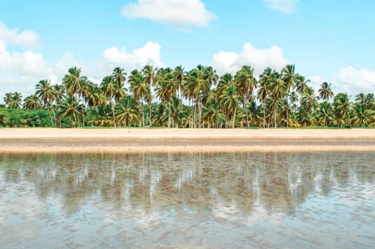 O Que Fazer em Japaratinga: Praia, Piscinas Naturais e Coqueirais