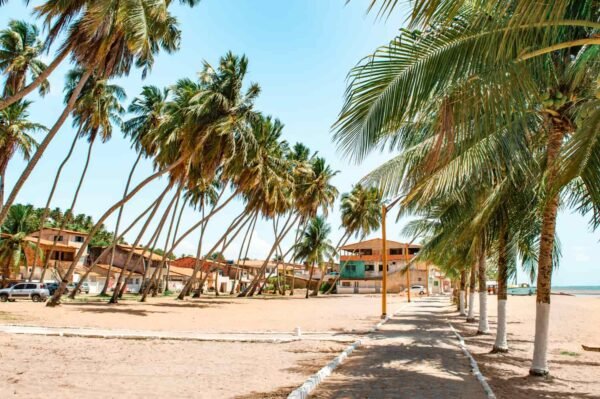 O Que Fazer em Japaratinga: Praia, Piscinas Naturais e Coqueirais