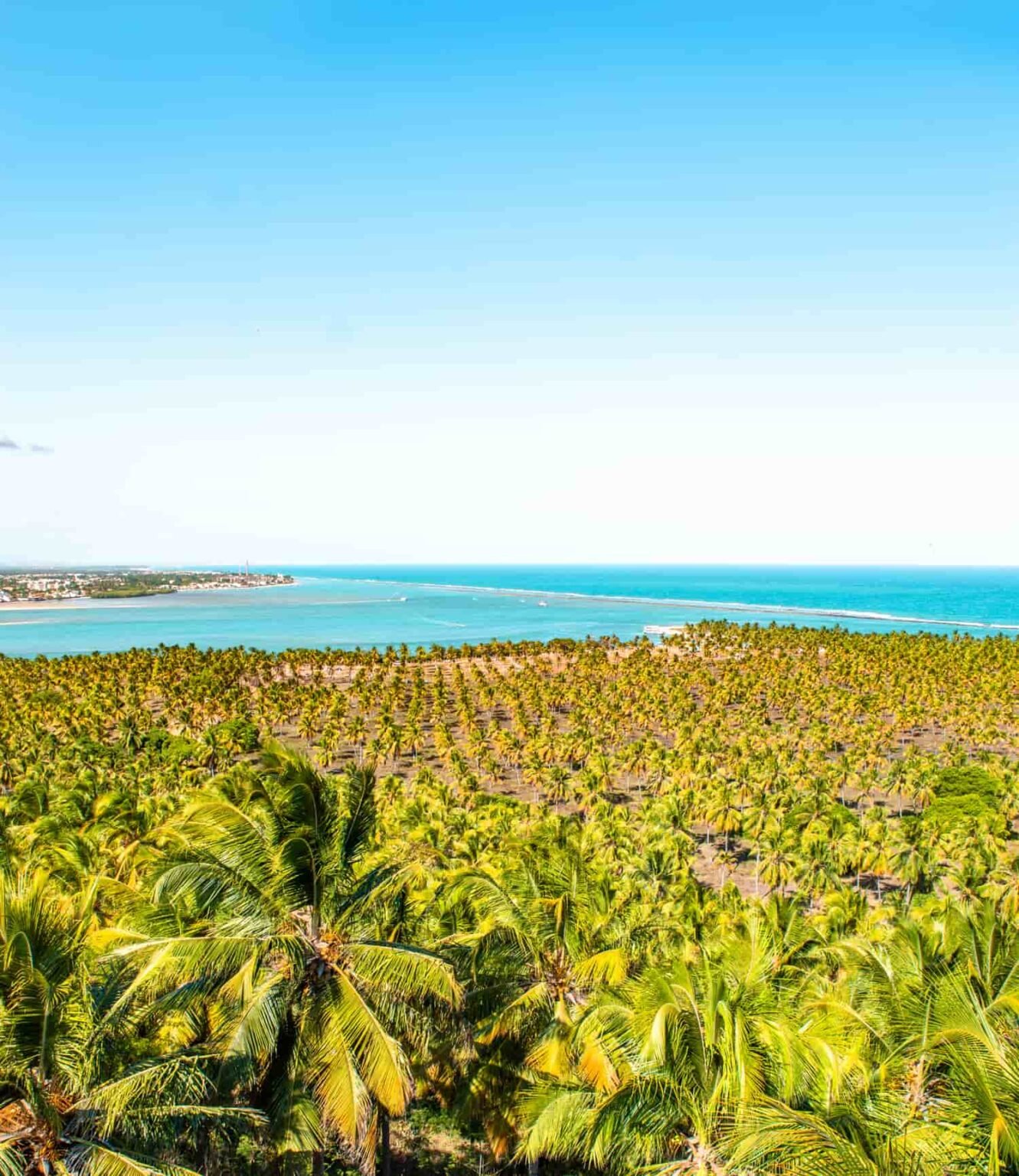 O Que Fazer na Praia do Gunga: Mirante, Falésias, Quadriciclo