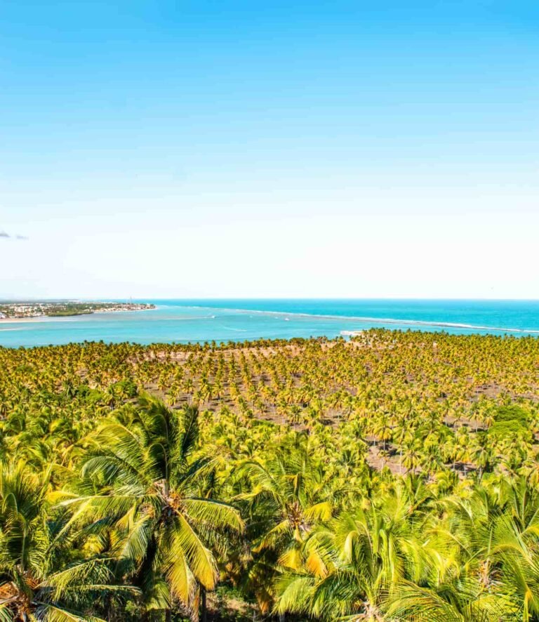 O Que Fazer na Praia do Gunga: Mirante, Falésias, Quadriciclo