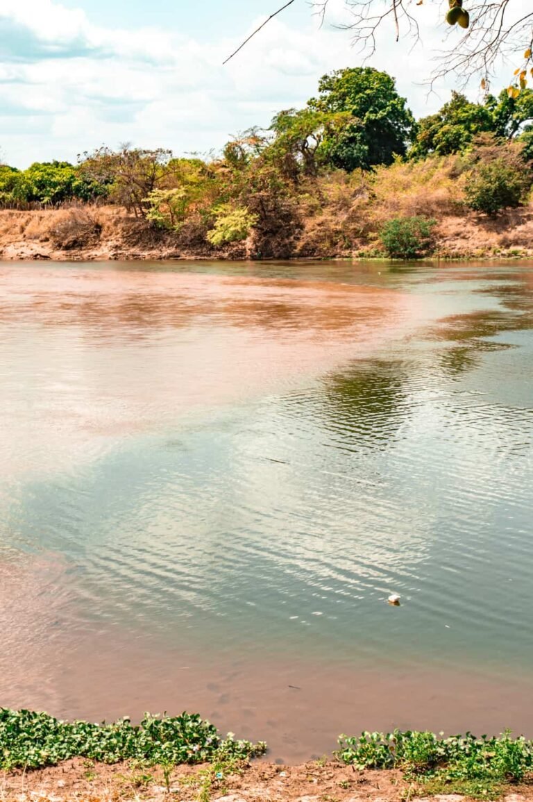 O Que Fazer em Teresina: TOP 17 Pontos Turísticos