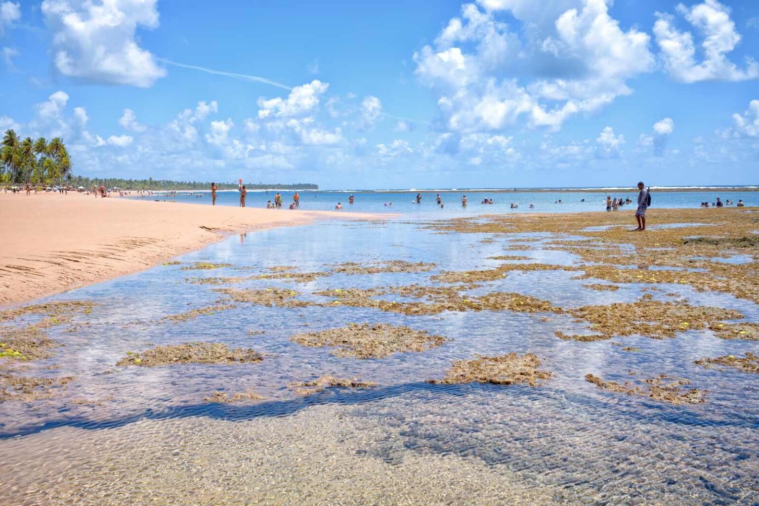 Melhores Praias da Bahia: TOP 17 (nossas favoritas)