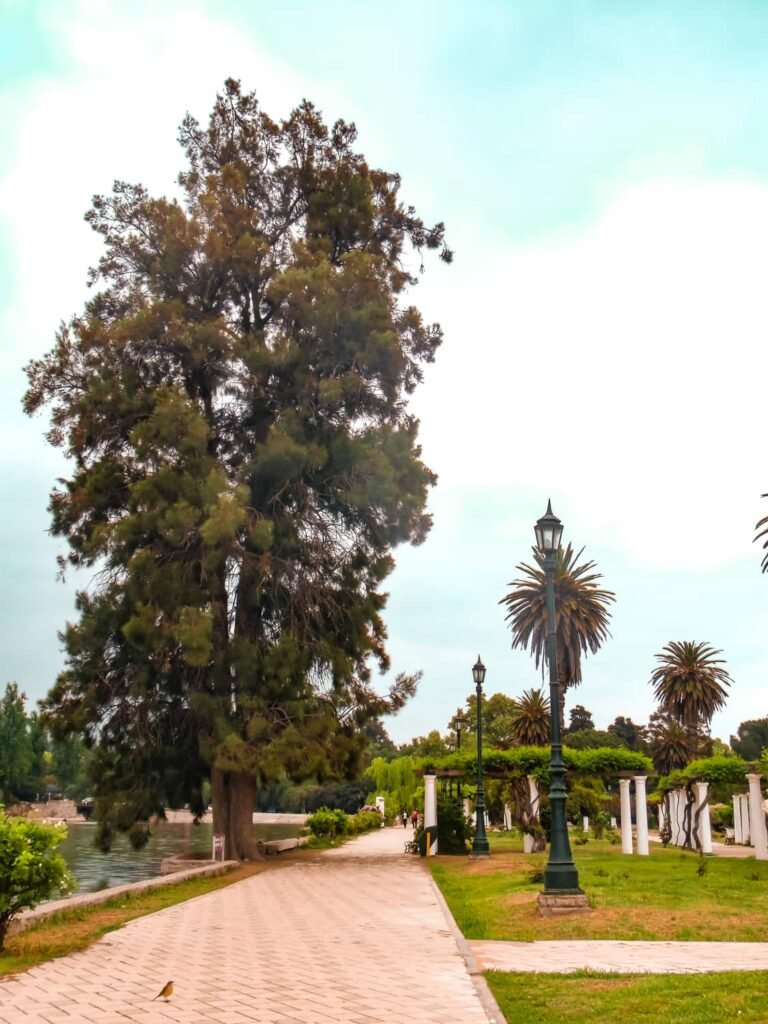 O Que Fazer em Mendoza em 5 Dias